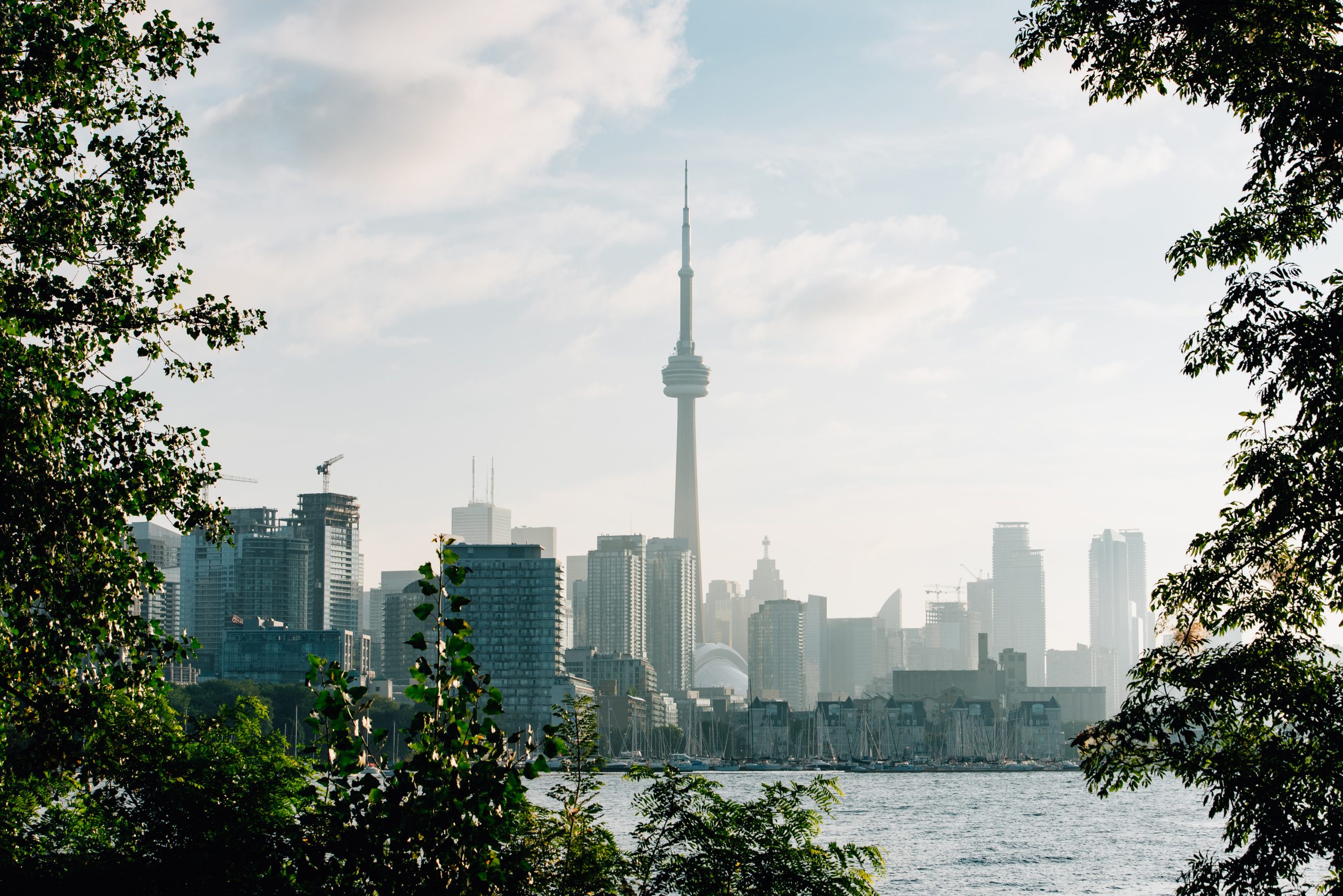 Overview - Choice Properties